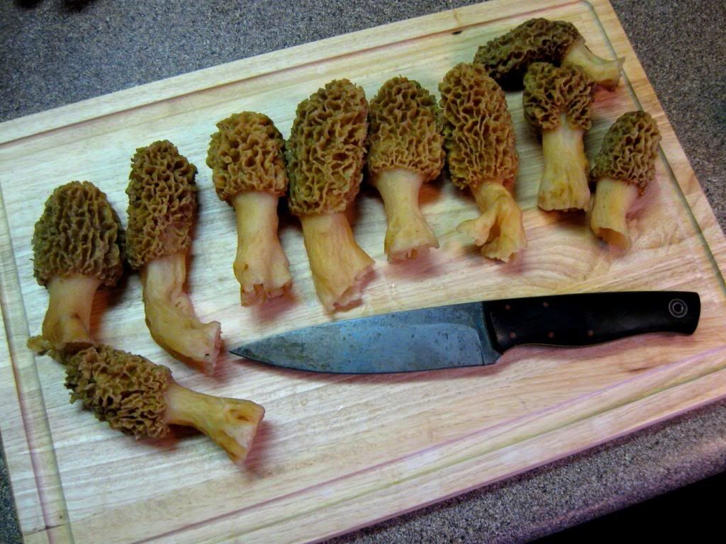 Wandering Woodsman | BladeForums.com